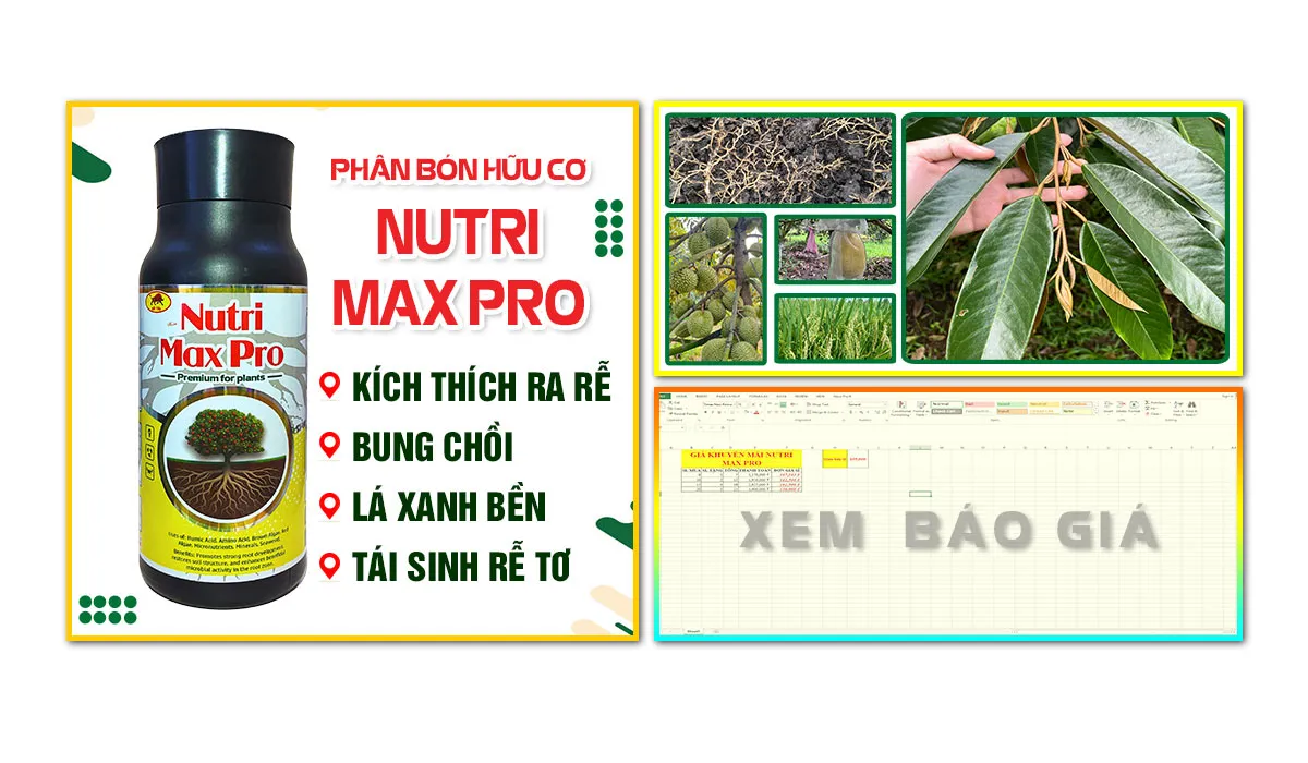 Nutri Max Pro | Cho cây trồng Mạnh từng rễ – Khỏe từng chồi – Hiệp Phát ...